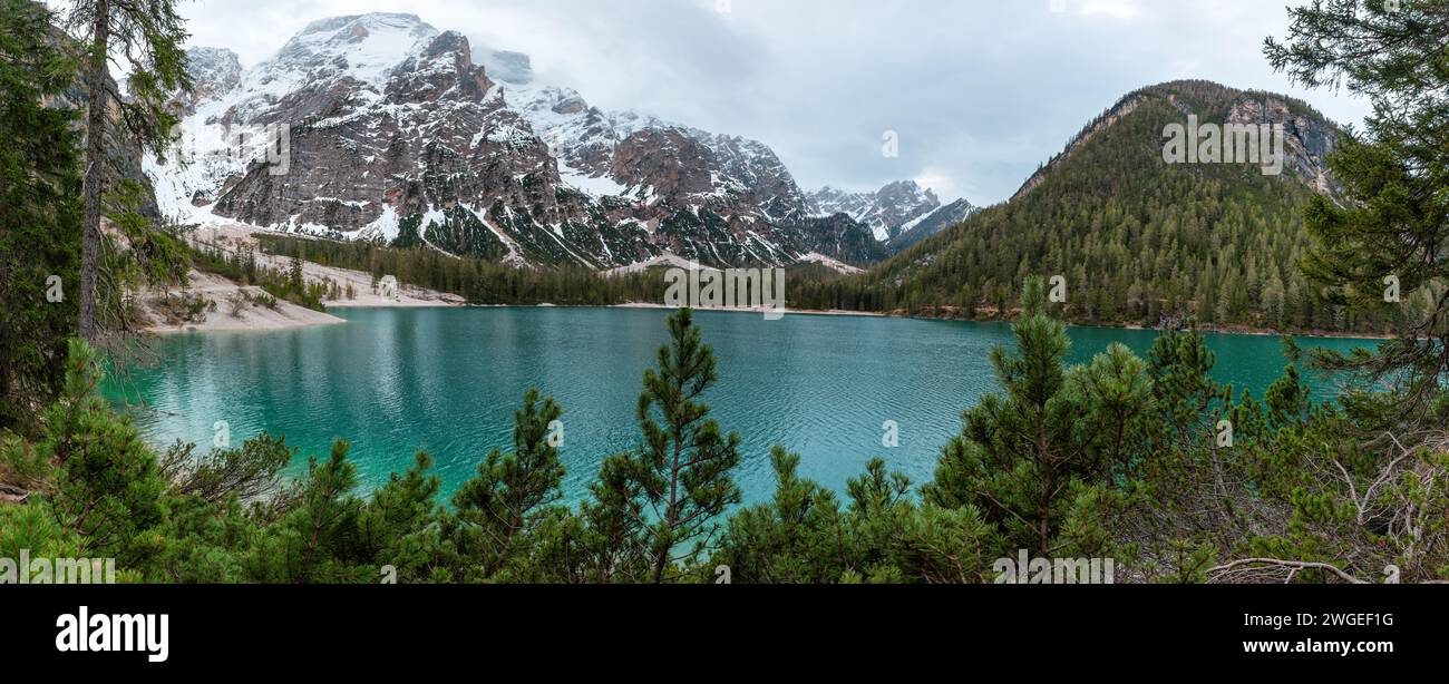 Panoramic view of turquoise water alpine lake Lago di Braies in ...