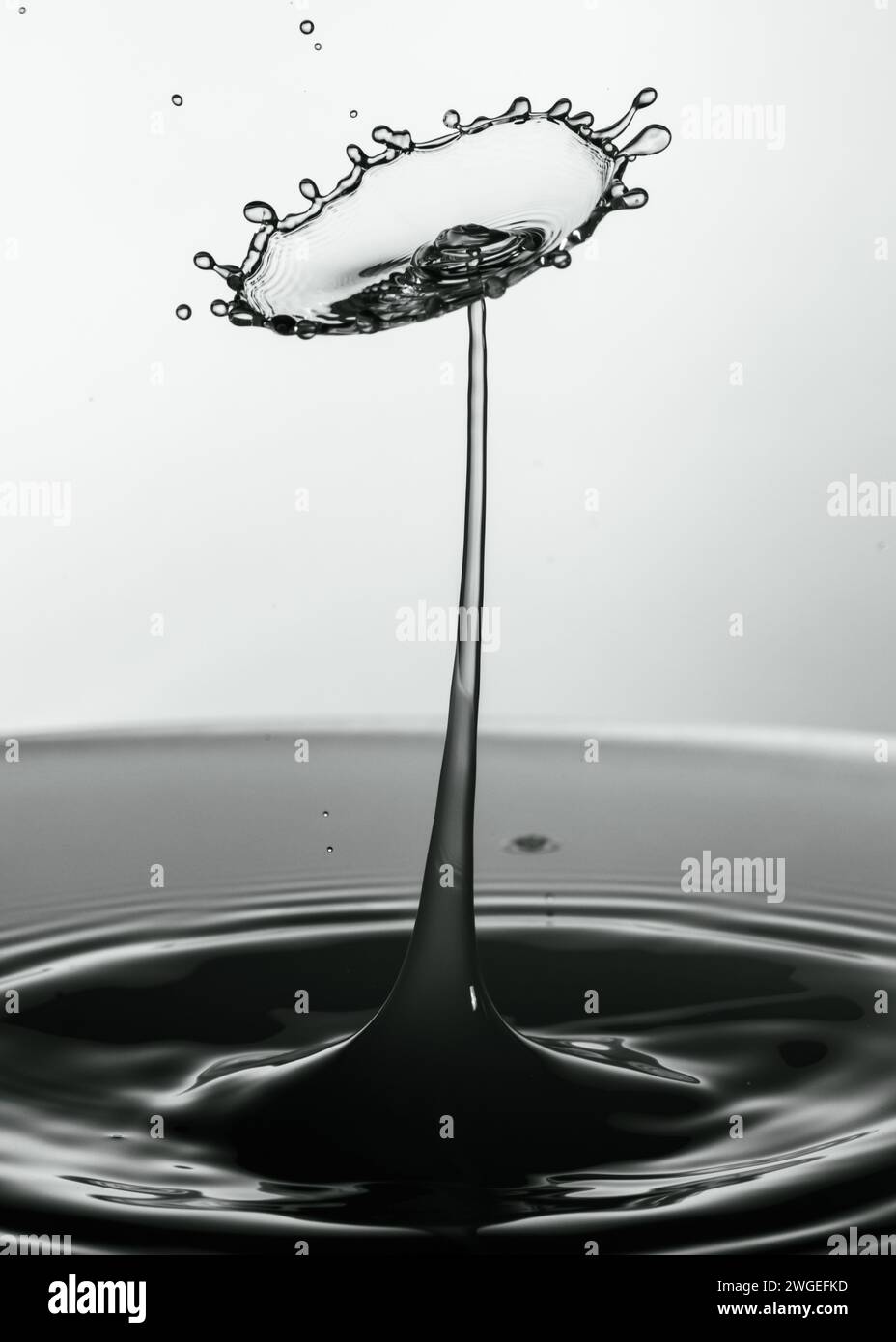 High Key Black and White Splash Art, water collision macro Photography ...