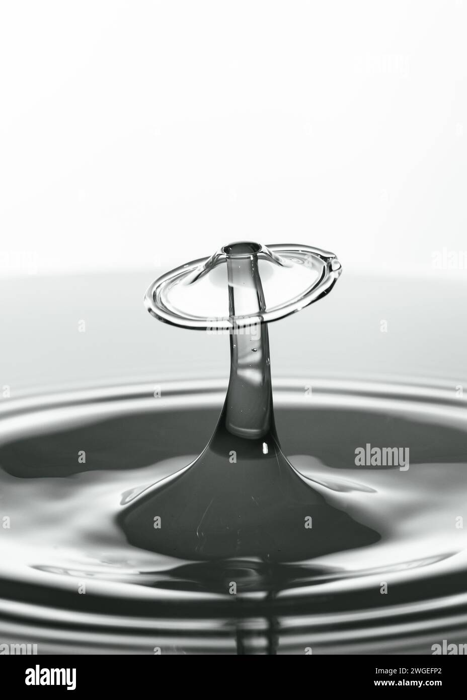 High Key Black and White Splash Art, water collision macro Photography ...