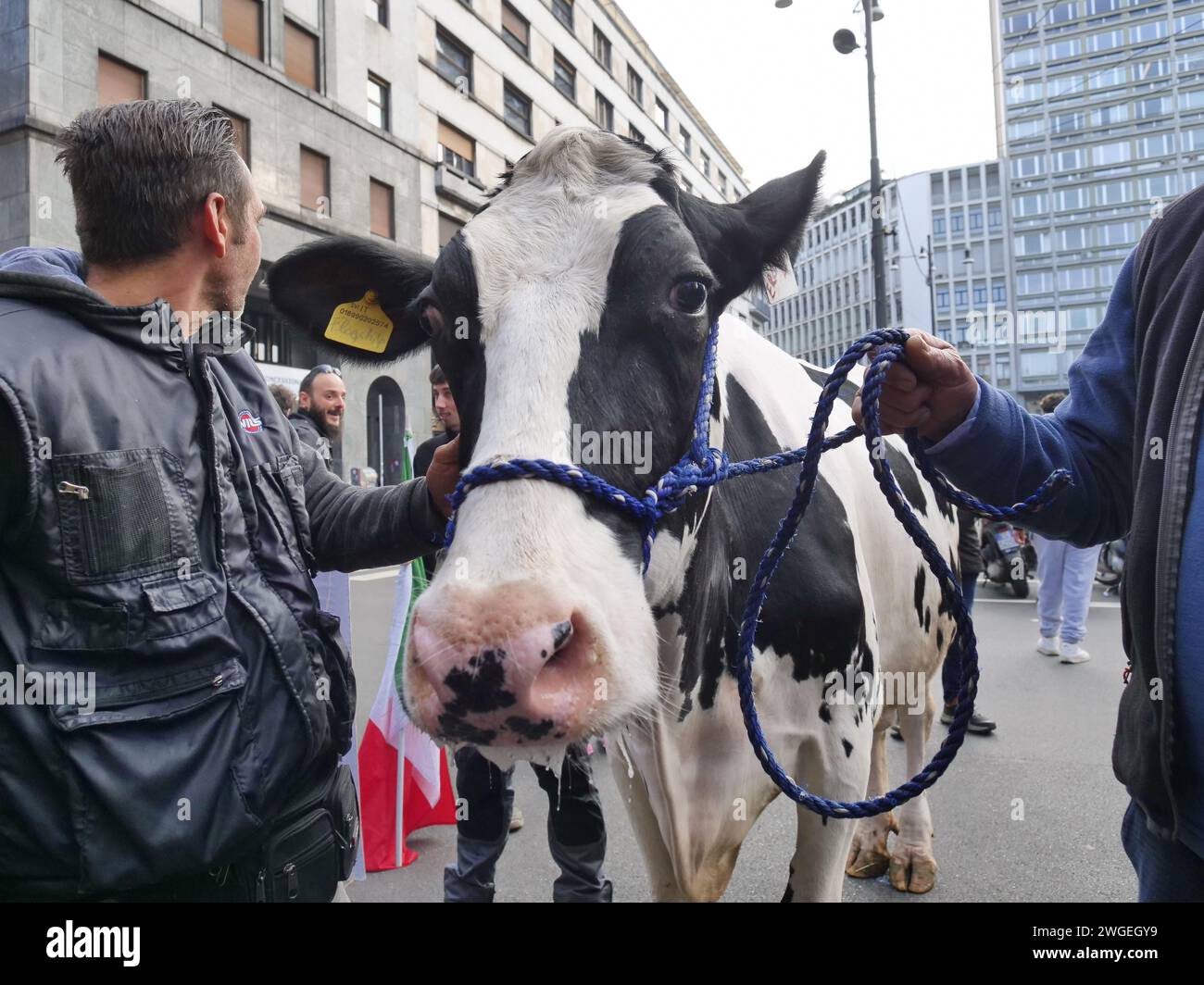 The picturesque farmers' protest against the European green deal ...