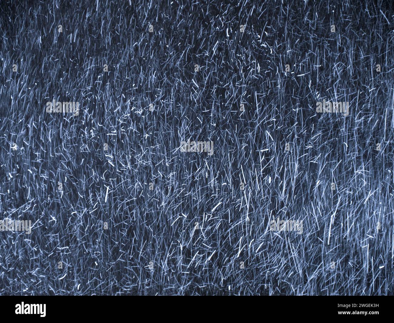 Beautiful real winter snowflakes swirl and fall slowly from a black ...