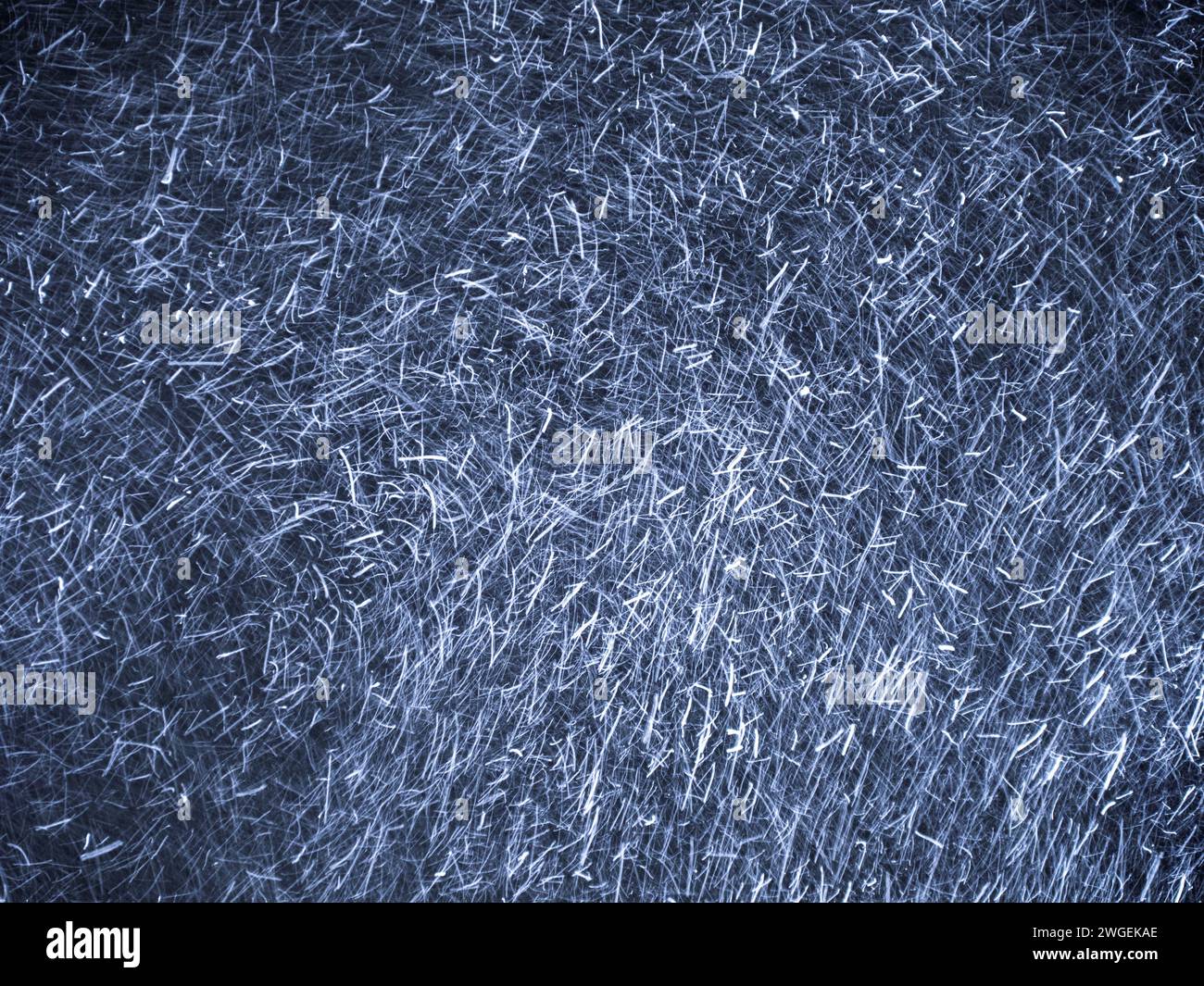 Beautiful real winter snowflakes swirl and fall slowly from a black ...