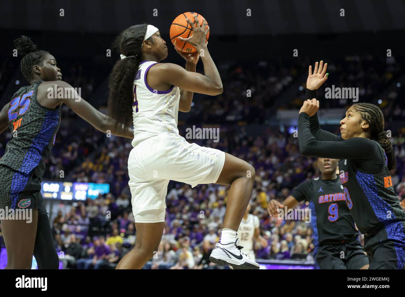 Dut image hi-res stock photography and images - Alamy