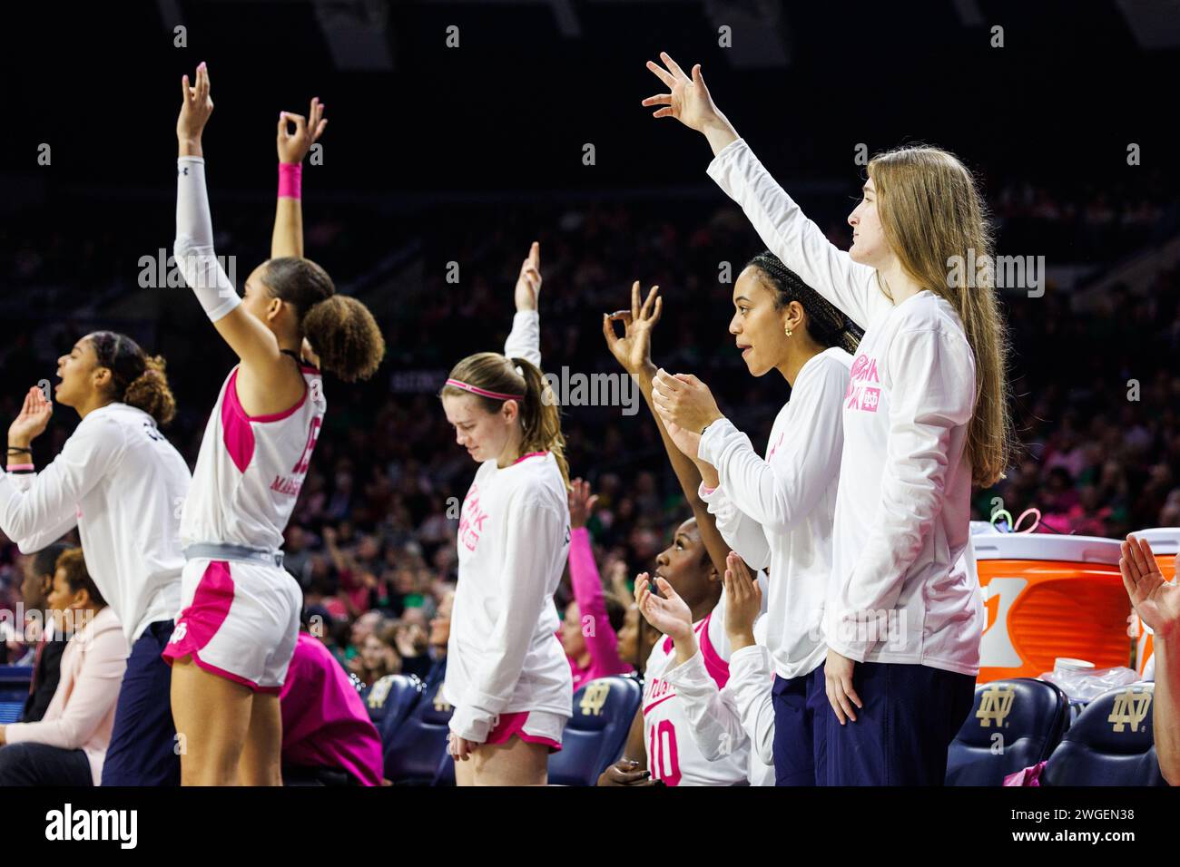 South Bend, Indiana, USA. 04th Feb, 2024. Notre Dame bench players ...
