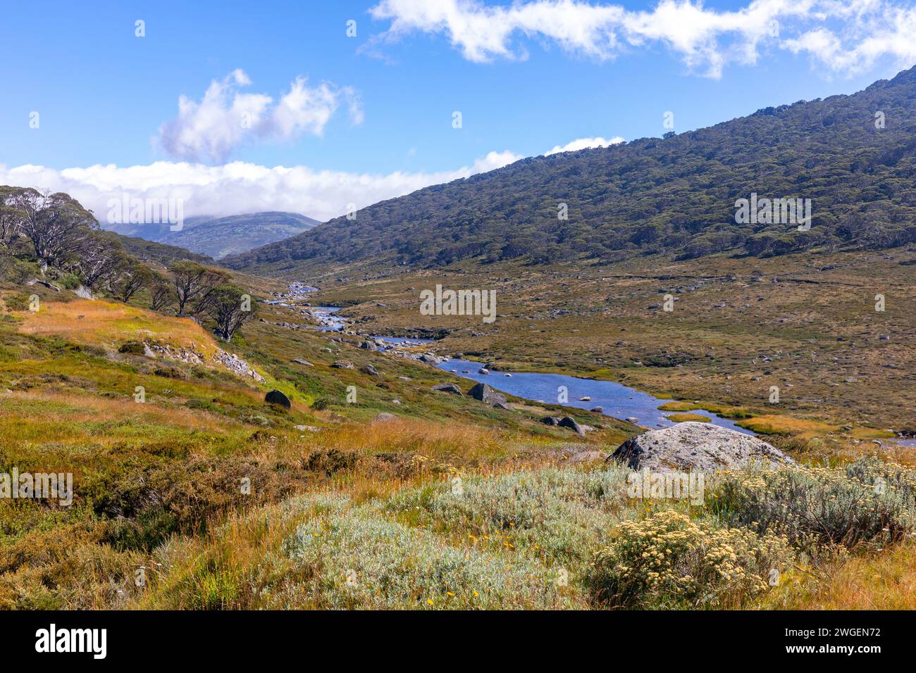 Australia, landscape of Kosciusko National Park in New South Wales ...