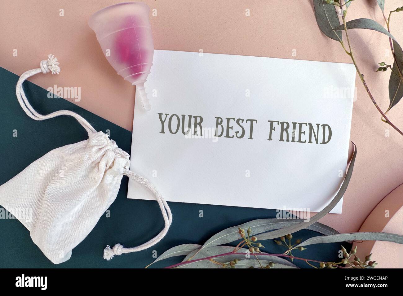 Menstrual cup and contraceptive pills on beige and green background ...