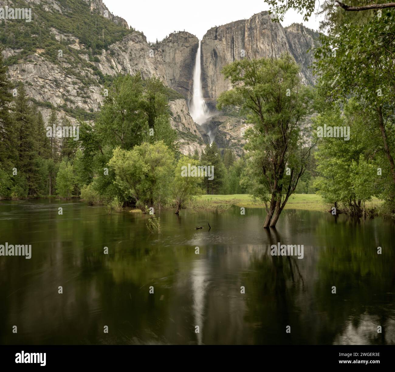 Merced River Floods Yosemite Valley with Upper Yosemite Fall in ...