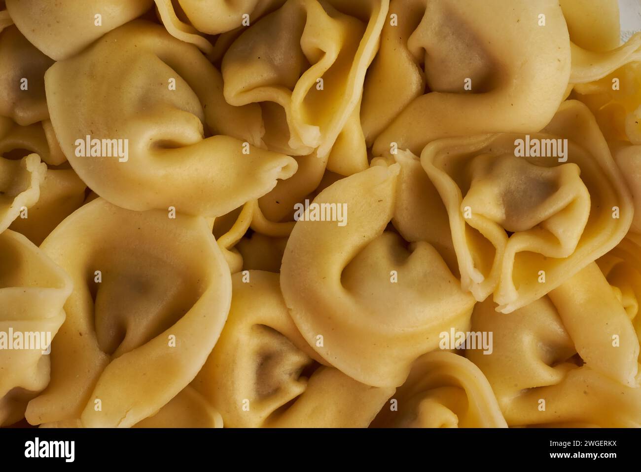 Italian tortellini (stuffed pasta) filled with prosciutto cotto, cooked ...