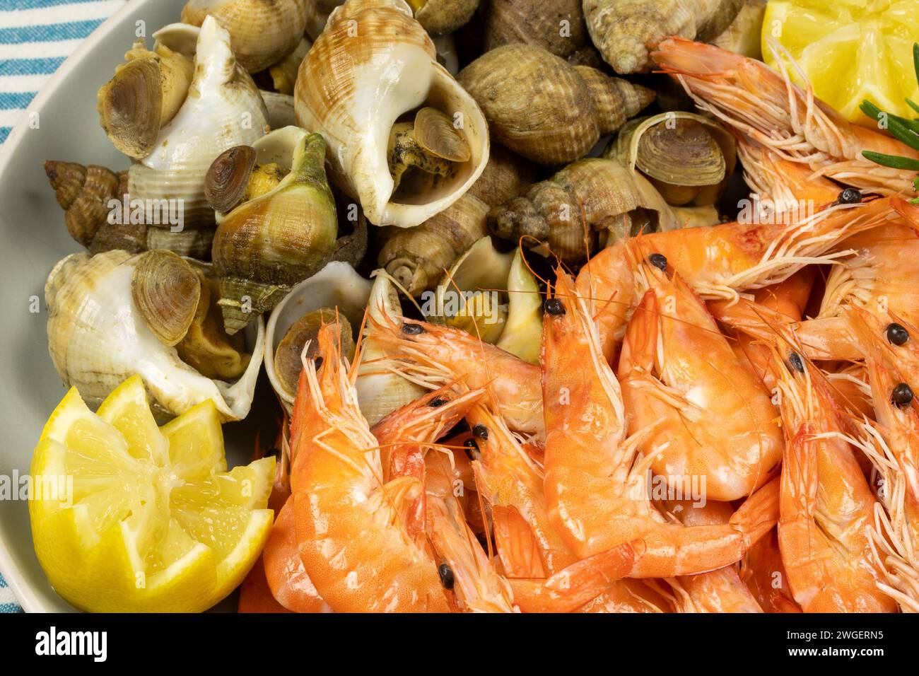 Shrimp and whelks hi-res stock photography and images - Alamy