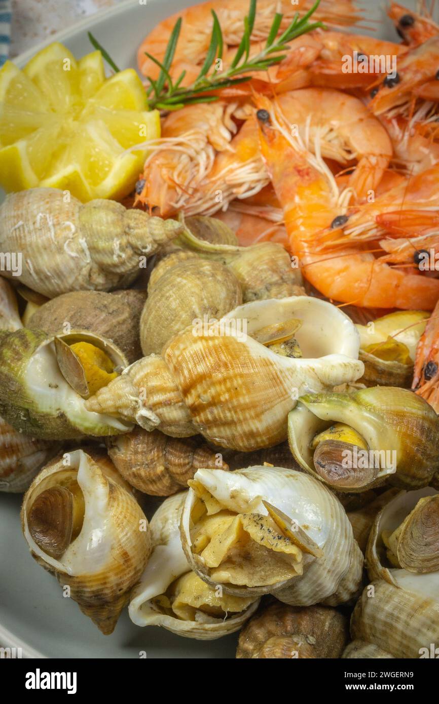Shrimp and whelks hi-res stock photography and images - Alamy
