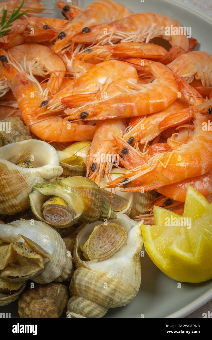 Shrimp and whelks hi-res stock photography and images - Alamy