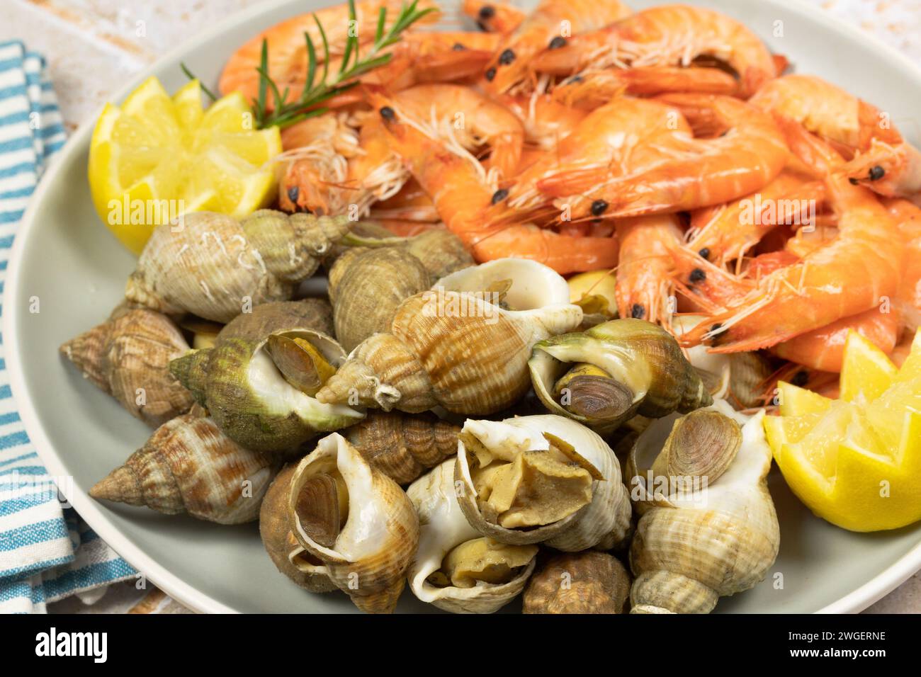 Shrimp and whelks hi-res stock photography and images - Alamy