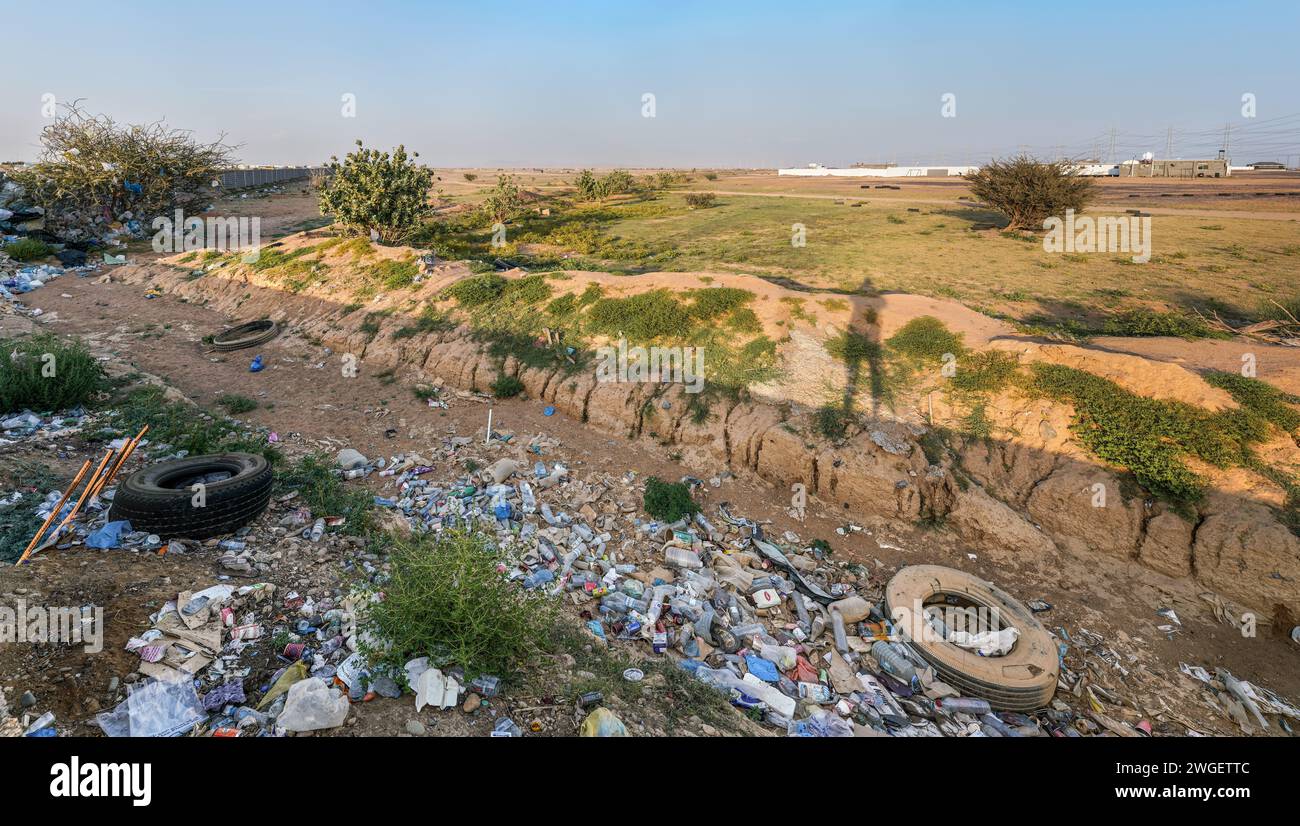 Yanbu, Saudi Arabia - March 02, 2023: Typical flat landscape with few ...