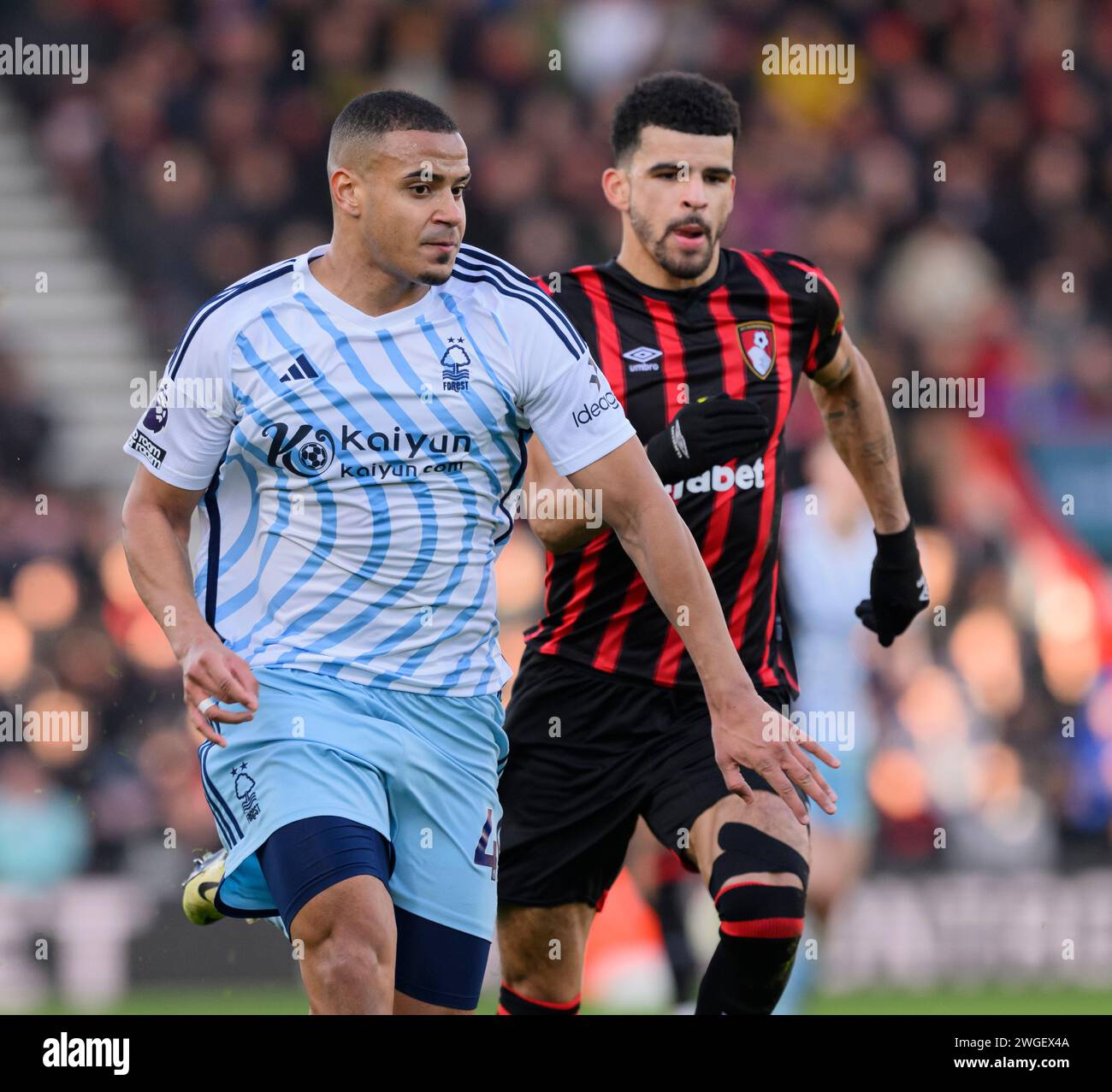 Dominic solanke 2024 hi-res stock photography and images - Alamy