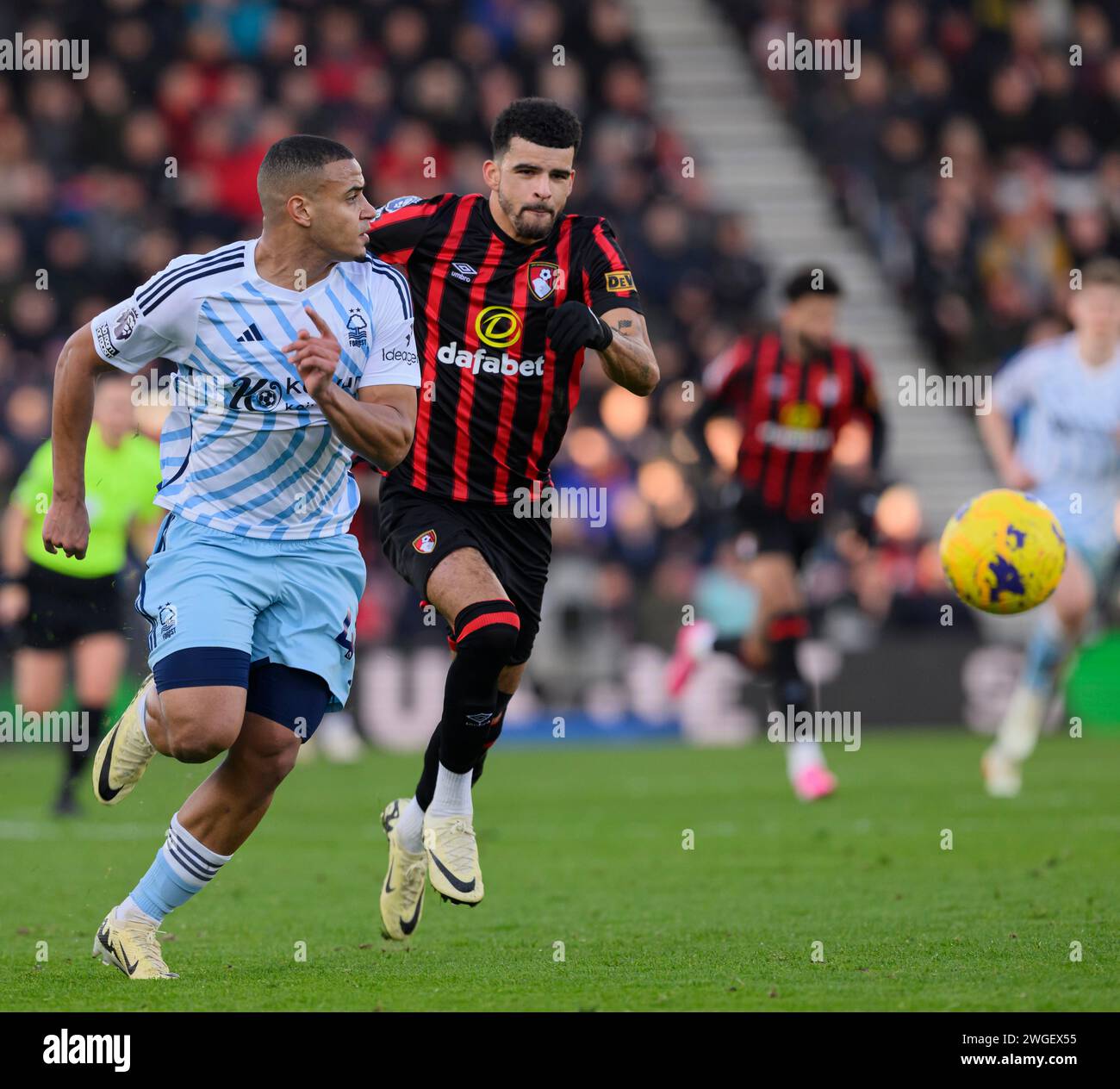 Dominic solanke 2024 hi-res stock photography and images - Alamy
