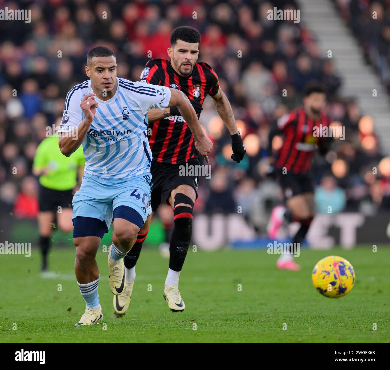 Dominic solanke 2024 hi-res stock photography and images - Alamy