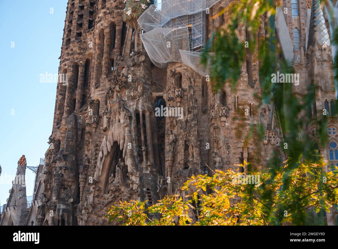 Sagrada Familia's Lush Green Facade in Barcelona, Spain, is a sight to ...