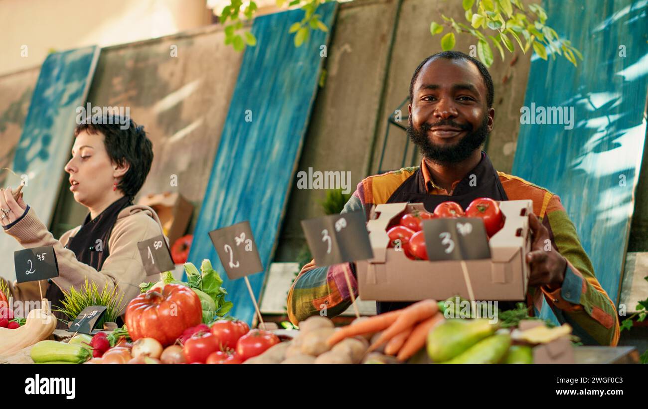 African american farmer presenting box of tomatoes on camera, showing ...