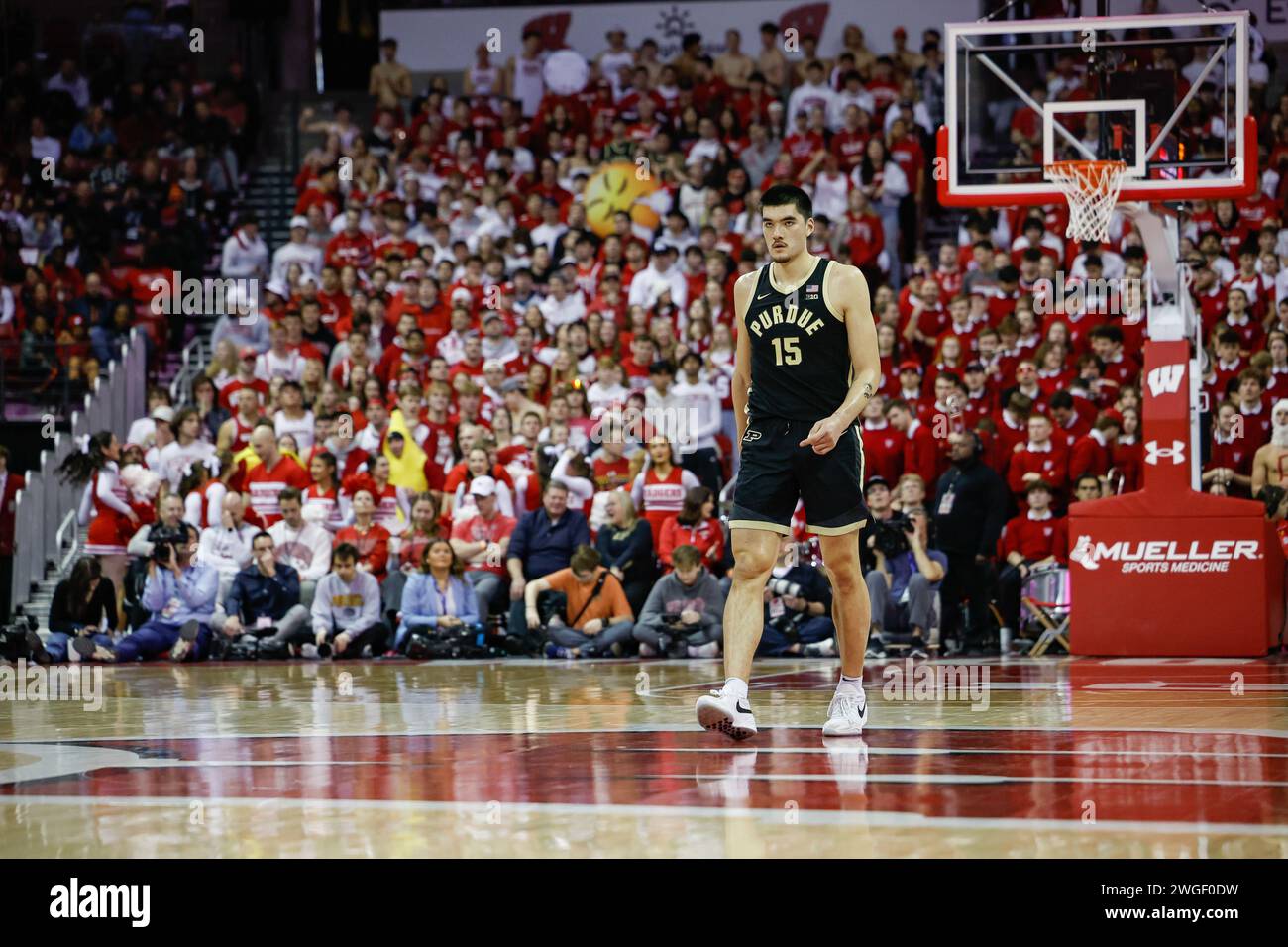 2024 0031 jpg hi-res stock photography and images - Alamy