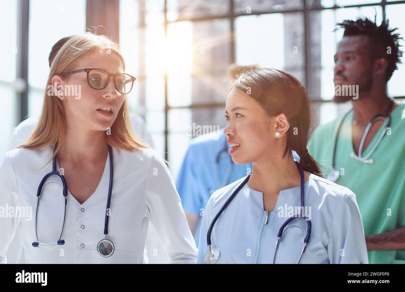 Portrait team professional doctors. The staff of the medical faculty ...