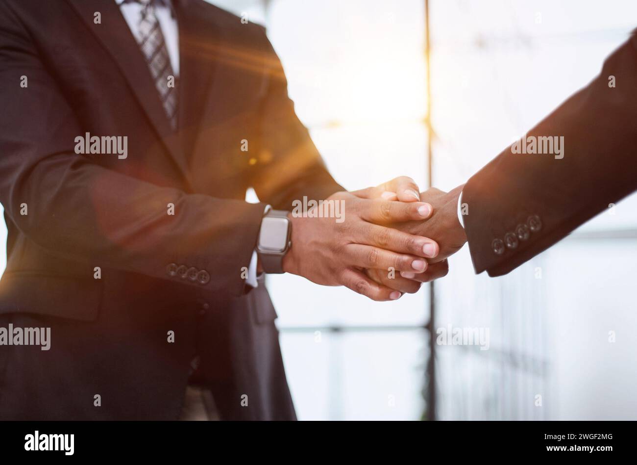 Human companions hi-res stock photography and images - Alamy