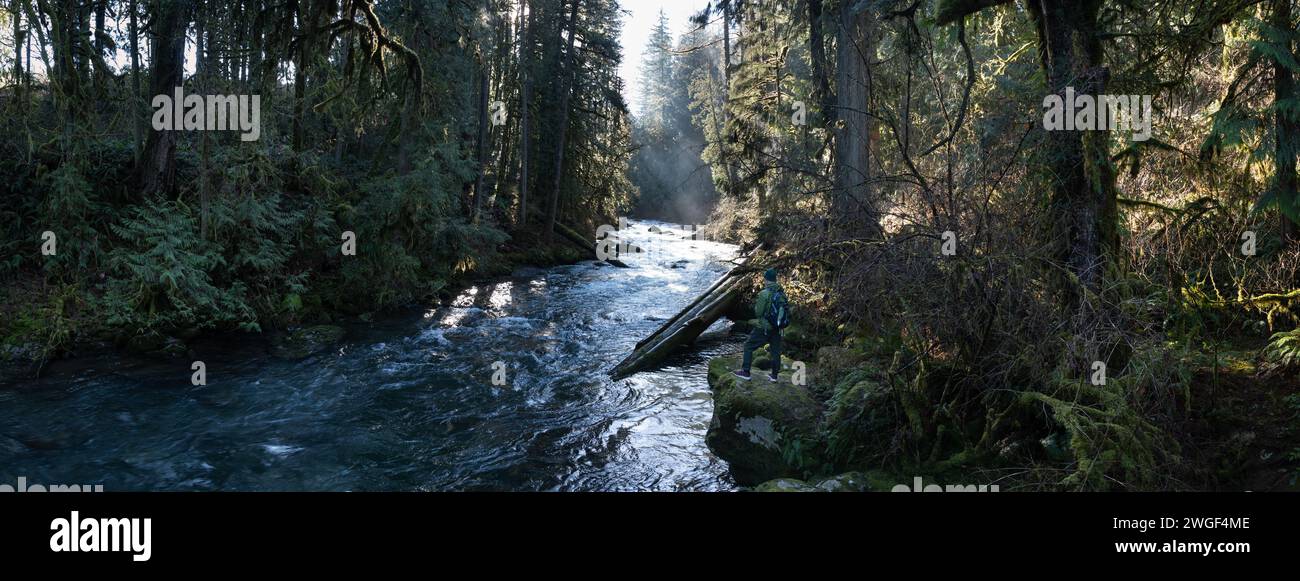 Vital habitats hi-res stock photography and images - Alamy