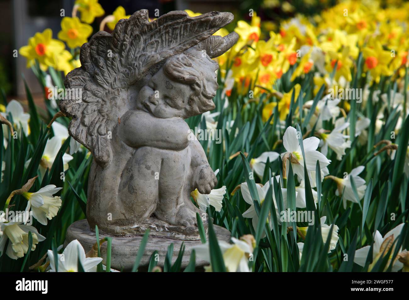 Tilt up view sculpture hi-res stock photography and images - Alamy