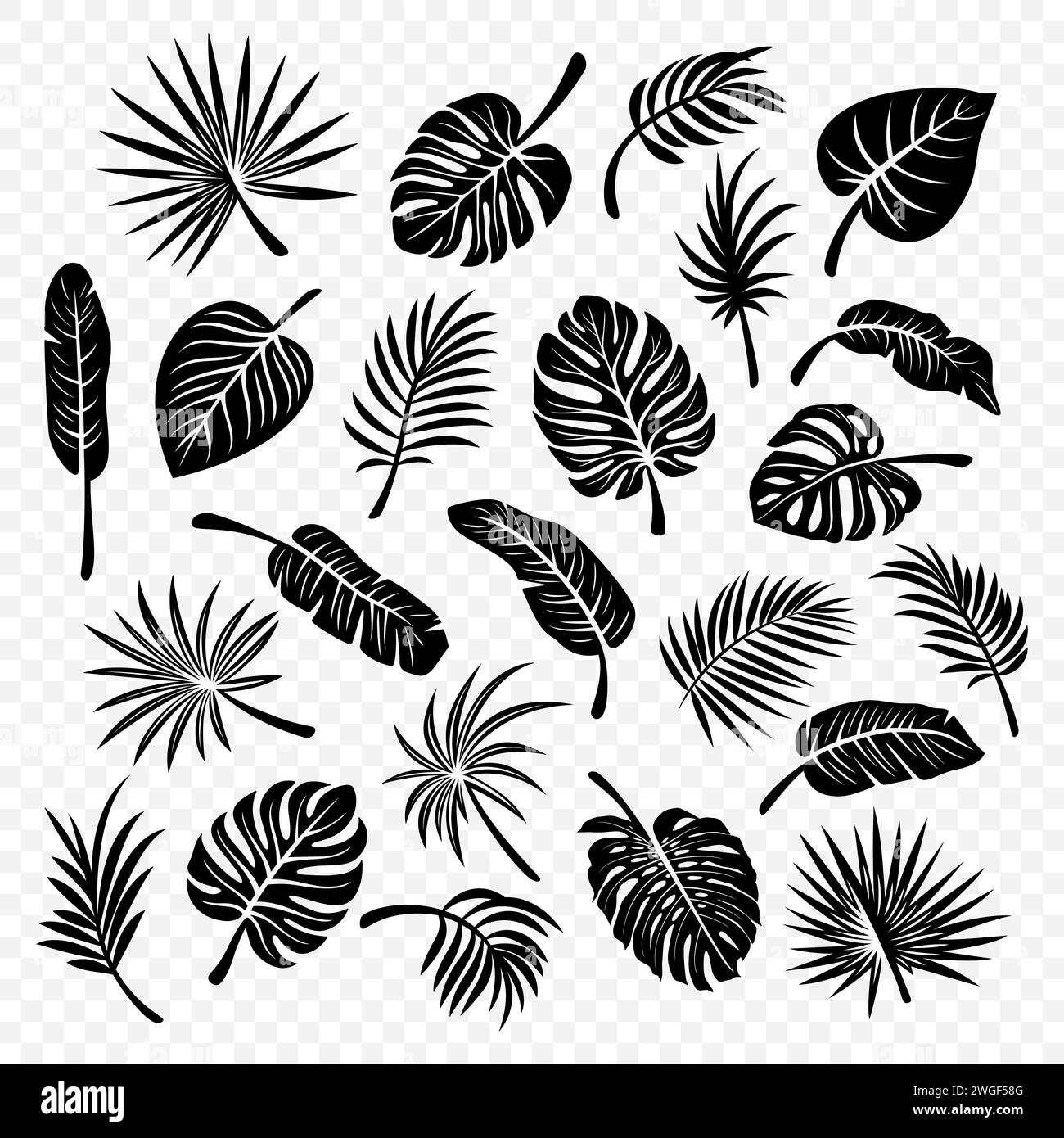 Tropical Leaf Silhouettes. Flat Vector Black and White Cutout Style ...