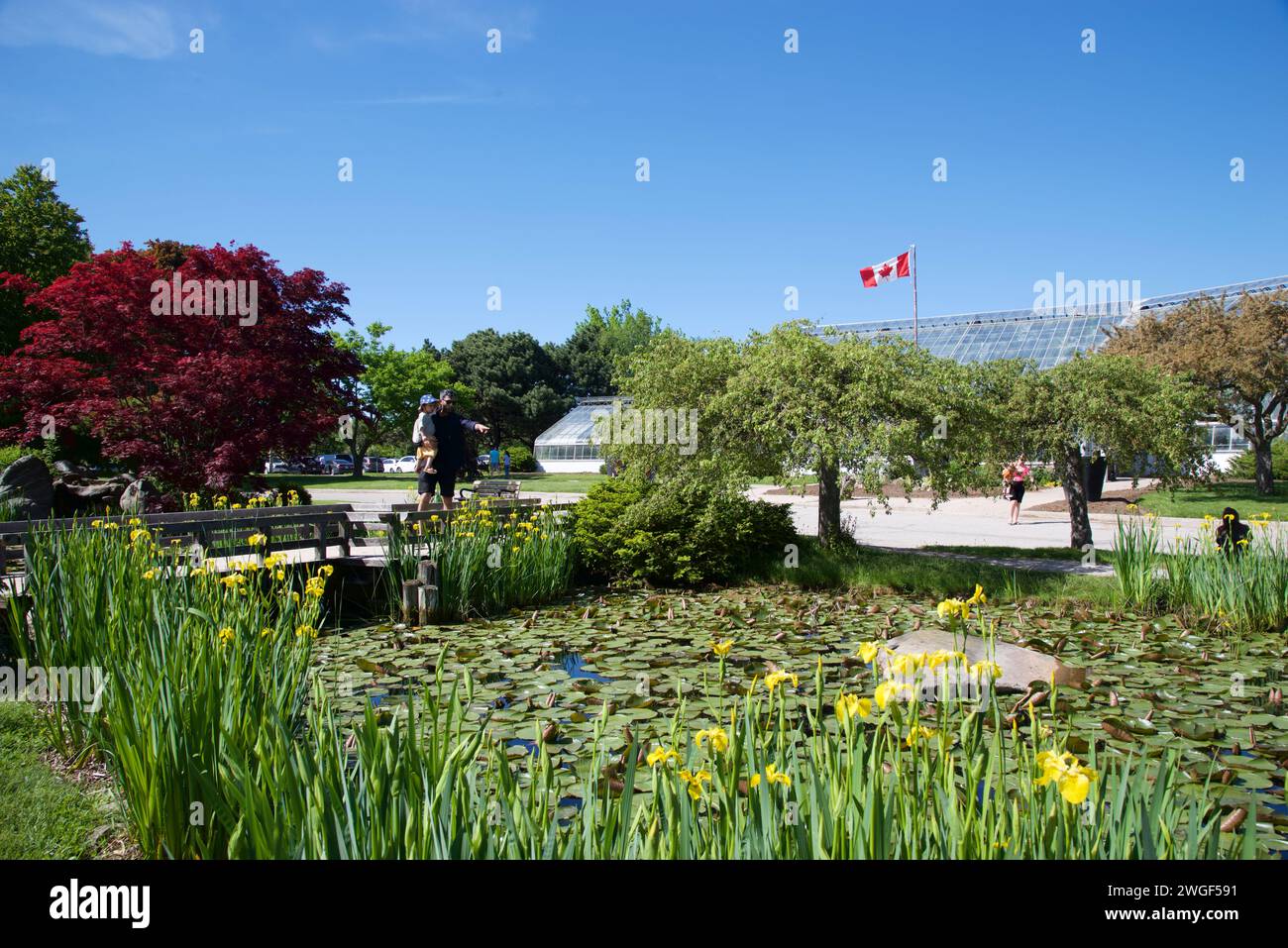 Building exterior of a conservatory with plants and flowers bloom in ...
