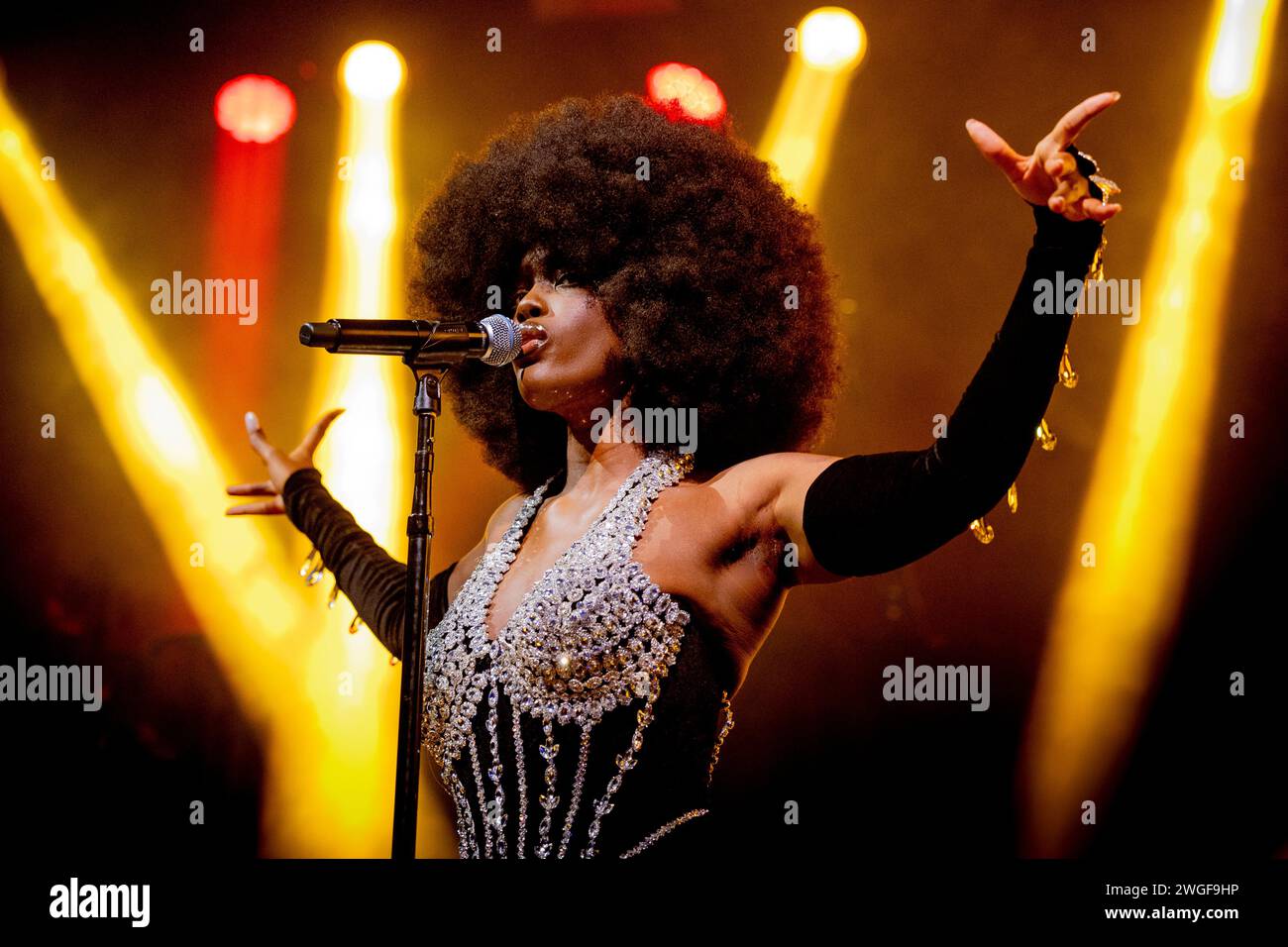 Tanerelle sing live hi-res stock photography and images - Alamy