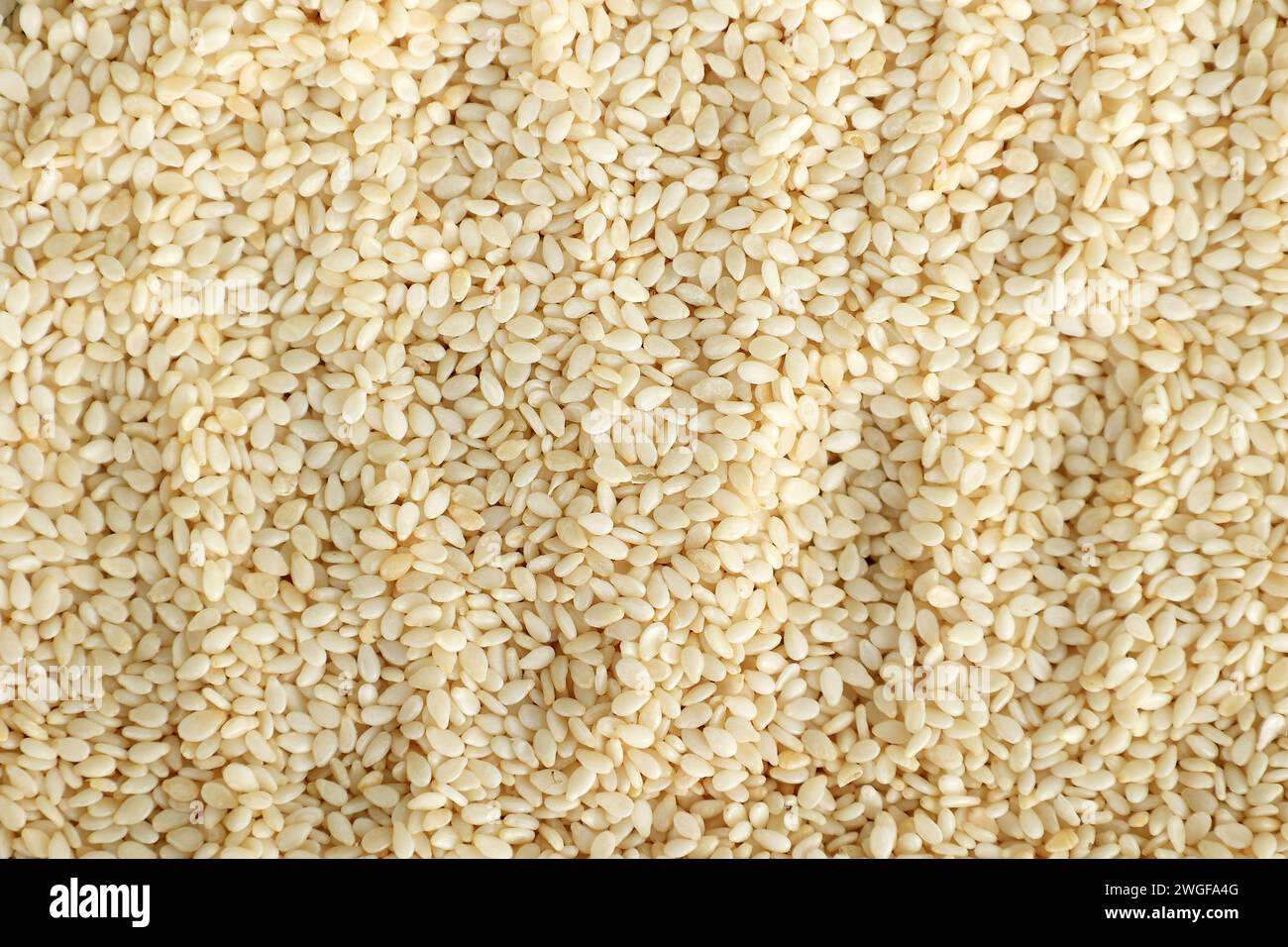 Raw White Sesame Seed Food Background, Full Frame Stock Photo - Alamy