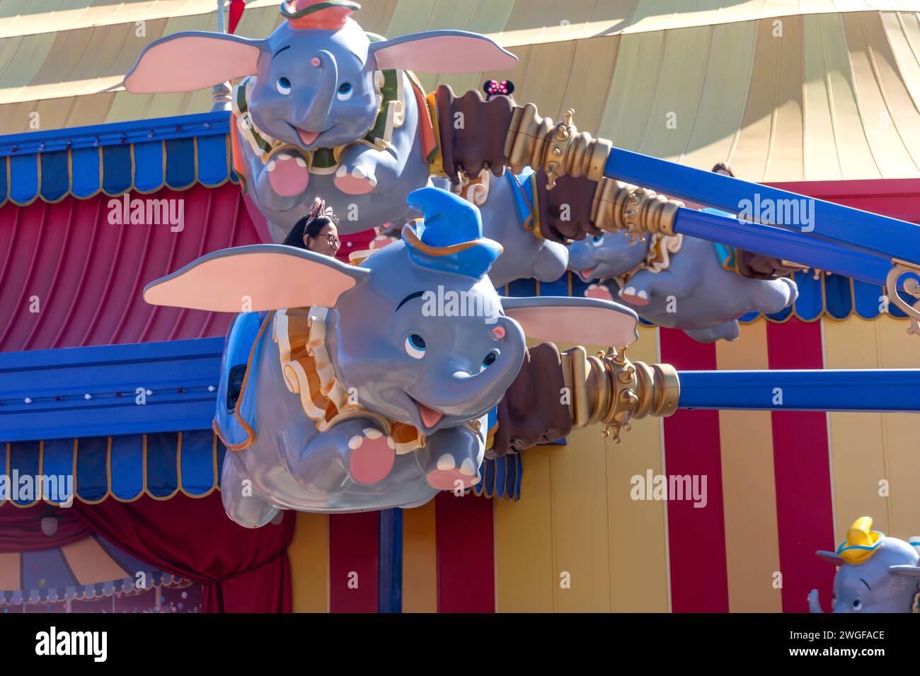 Dumbo the Flying Elephant, Fantasyland, Magic Kingdom, Walt Disney ...