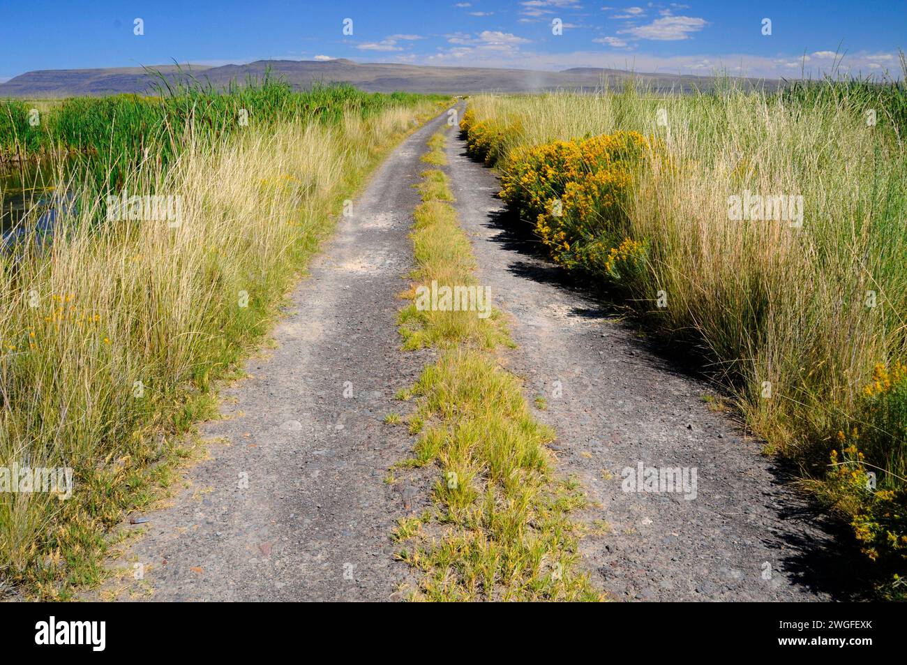 Refuge road, Summer Lake Wildlife Area, Oregon Outback Scenic Byway ...