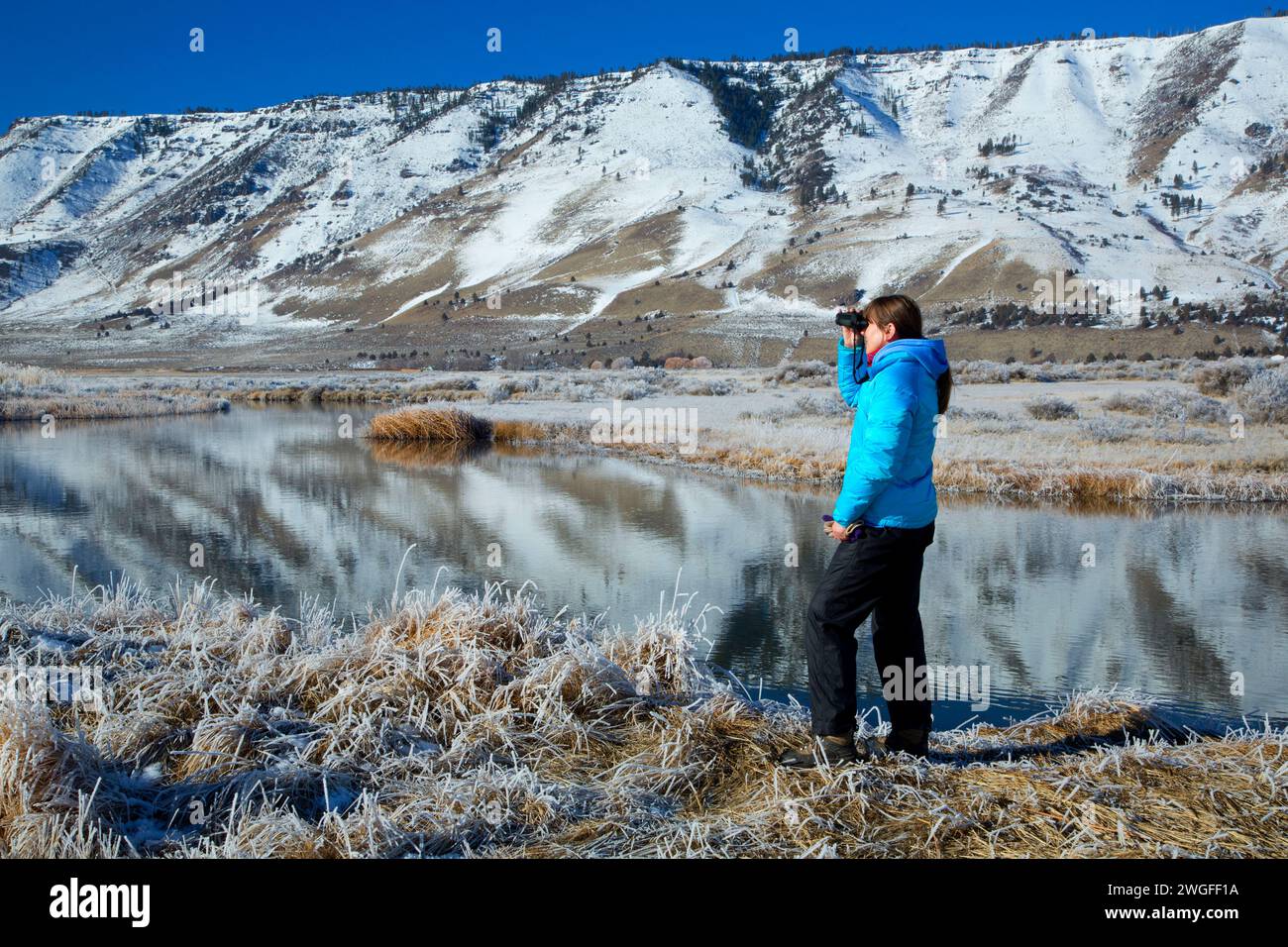 Birding by Ana River to Winter Rim, Summer Lake Wildlife Area, Oregon ...