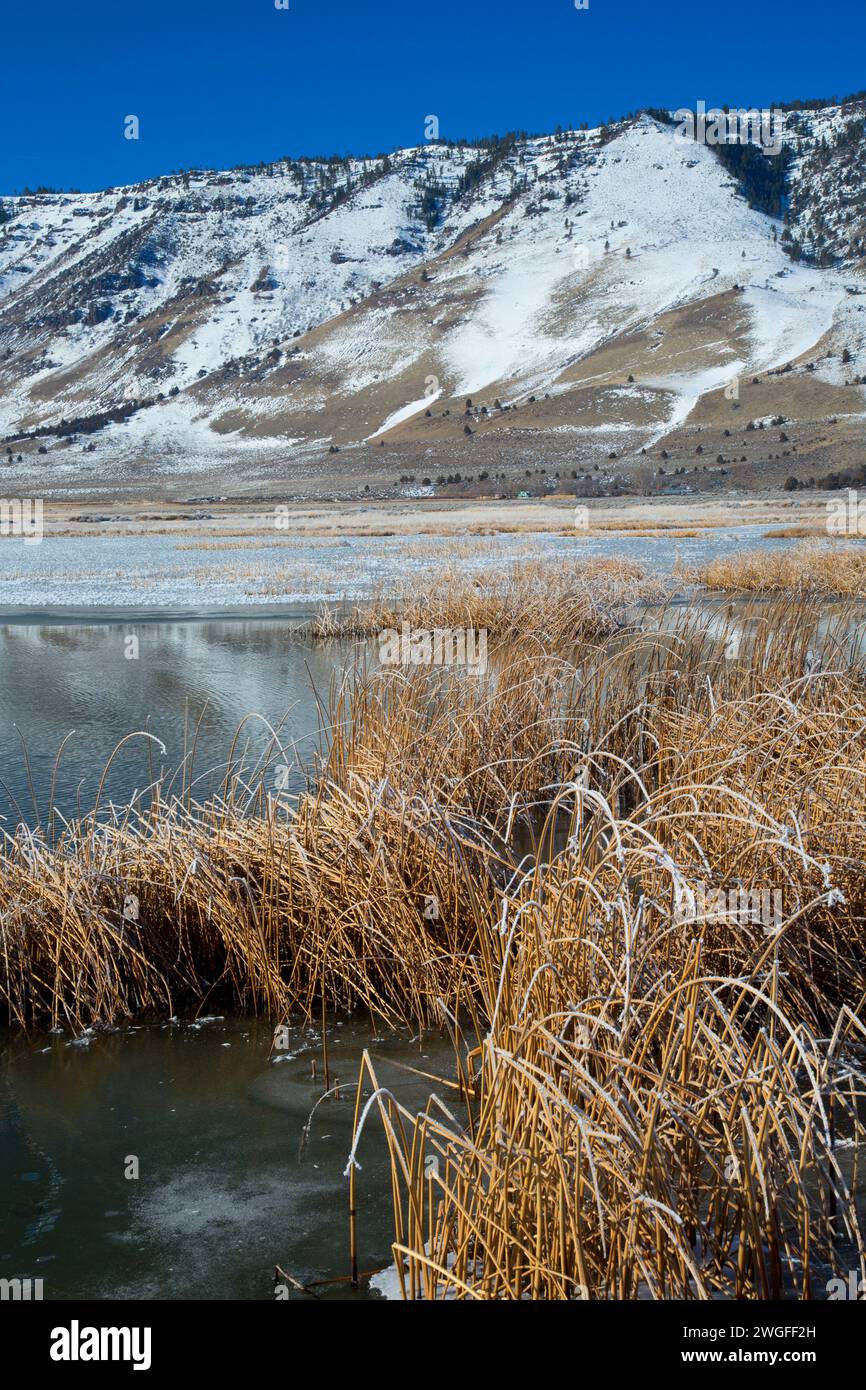 Rim of pond hi-res stock photography and images - Alamy