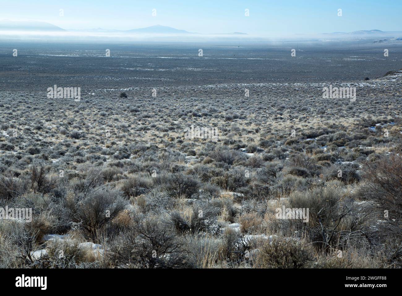 High desert grassland, Fort Rock State Park, Christmas Valley National ...