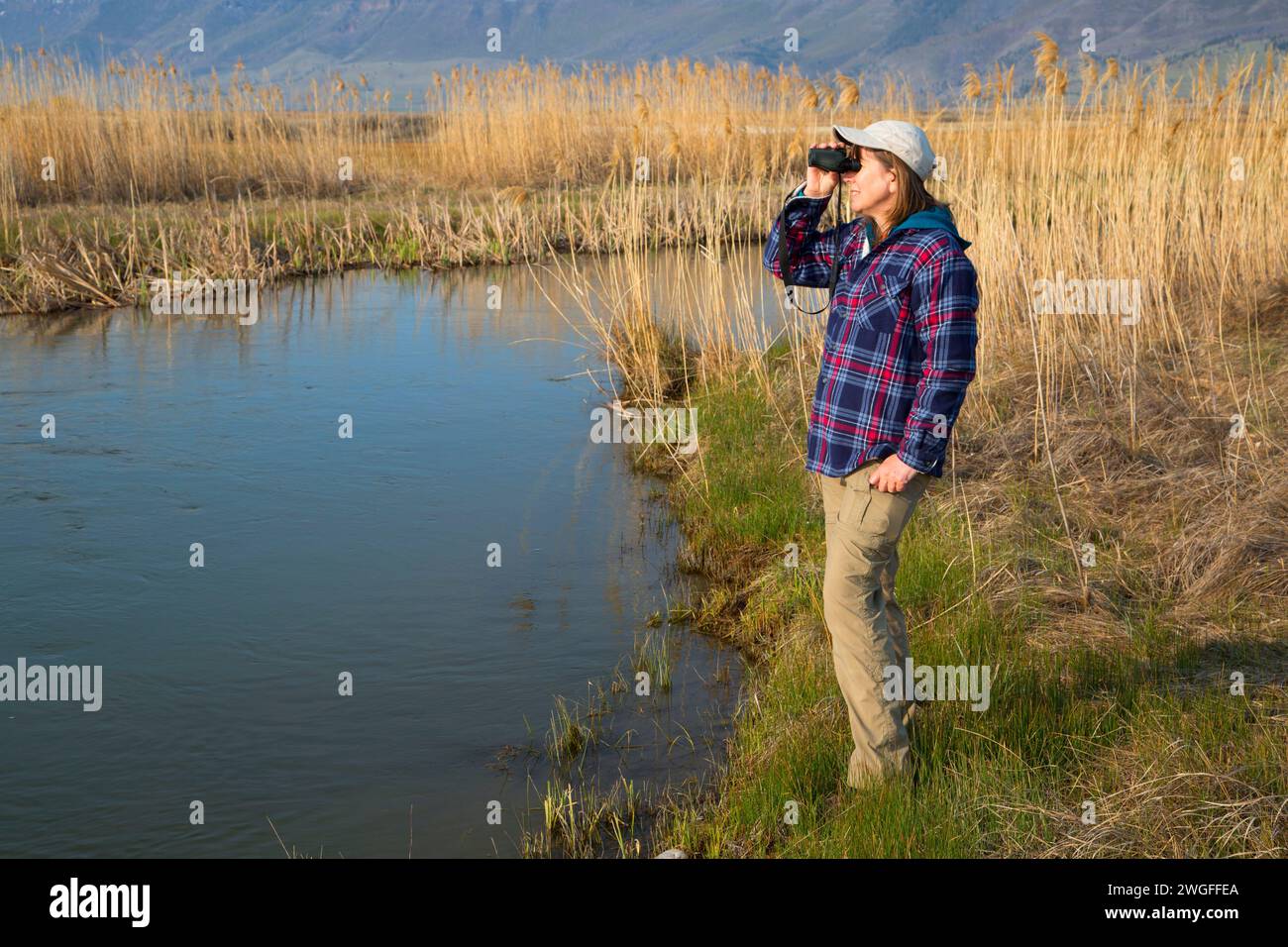 Birding along Ana River, Summer Lake Wildlife Area, Oregon Outback ...