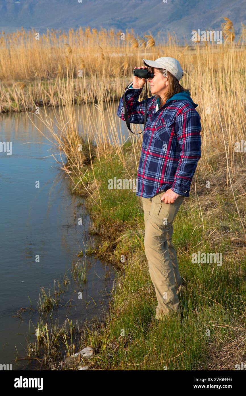 Birding along Ana River, Summer Lake Wildlife Area, Oregon Outback ...