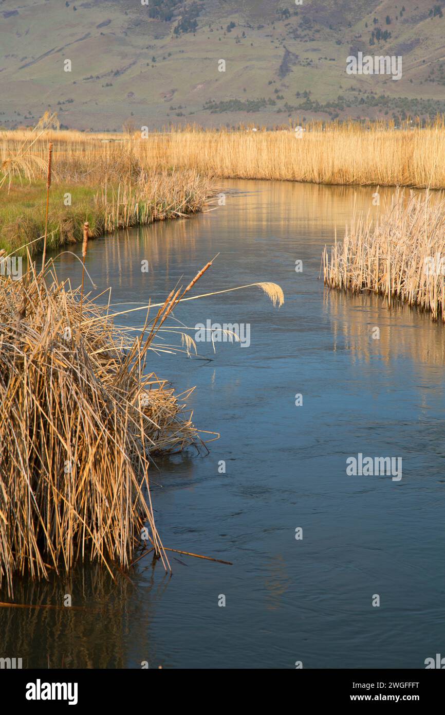 Ana River, Summer Lake Wildlife Area, Oregon Outback Scenic Byway ...
