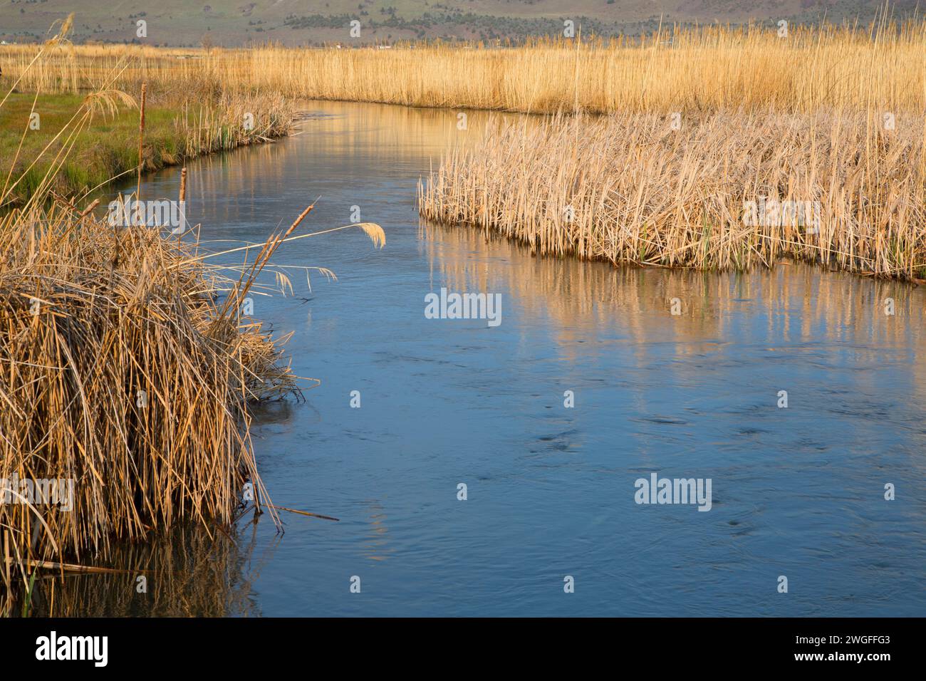 Ana River, Summer Lake Wildlife Area, Oregon Outback Scenic Byway ...