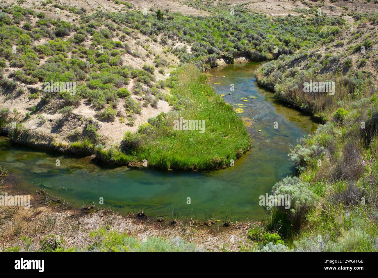 Ana River, Summer Lake Wildlife Area, Oregon Outback Scenic Byway ...