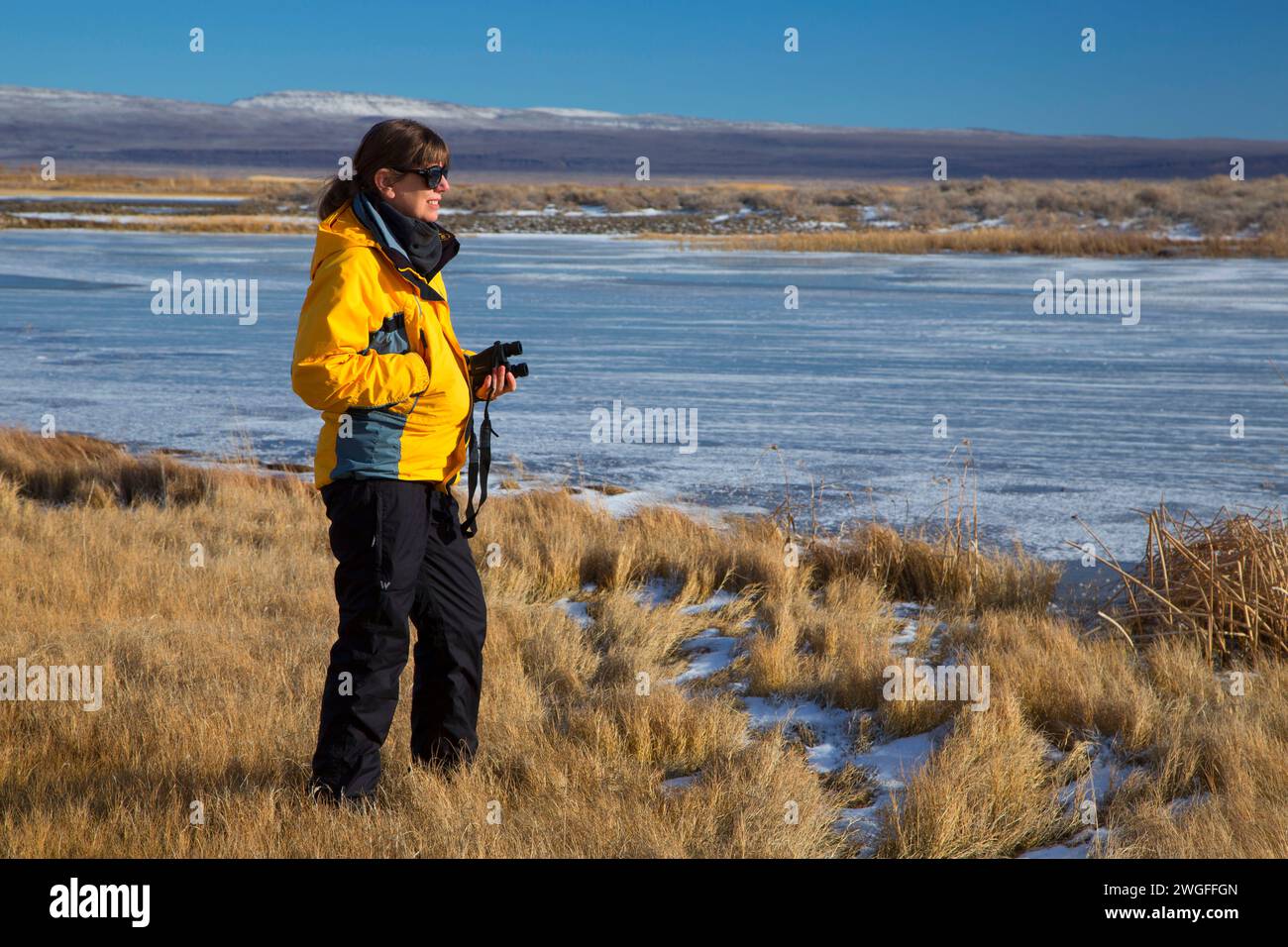 Birding at frozen marsh pond, Summer Lake Wildlife Area, Oregon Outback ...