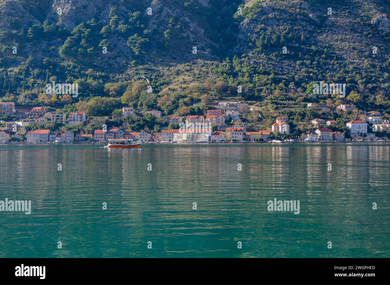 View of Muo village from Dobrota promenade, Kotor Bay, Montenegro Stock ...