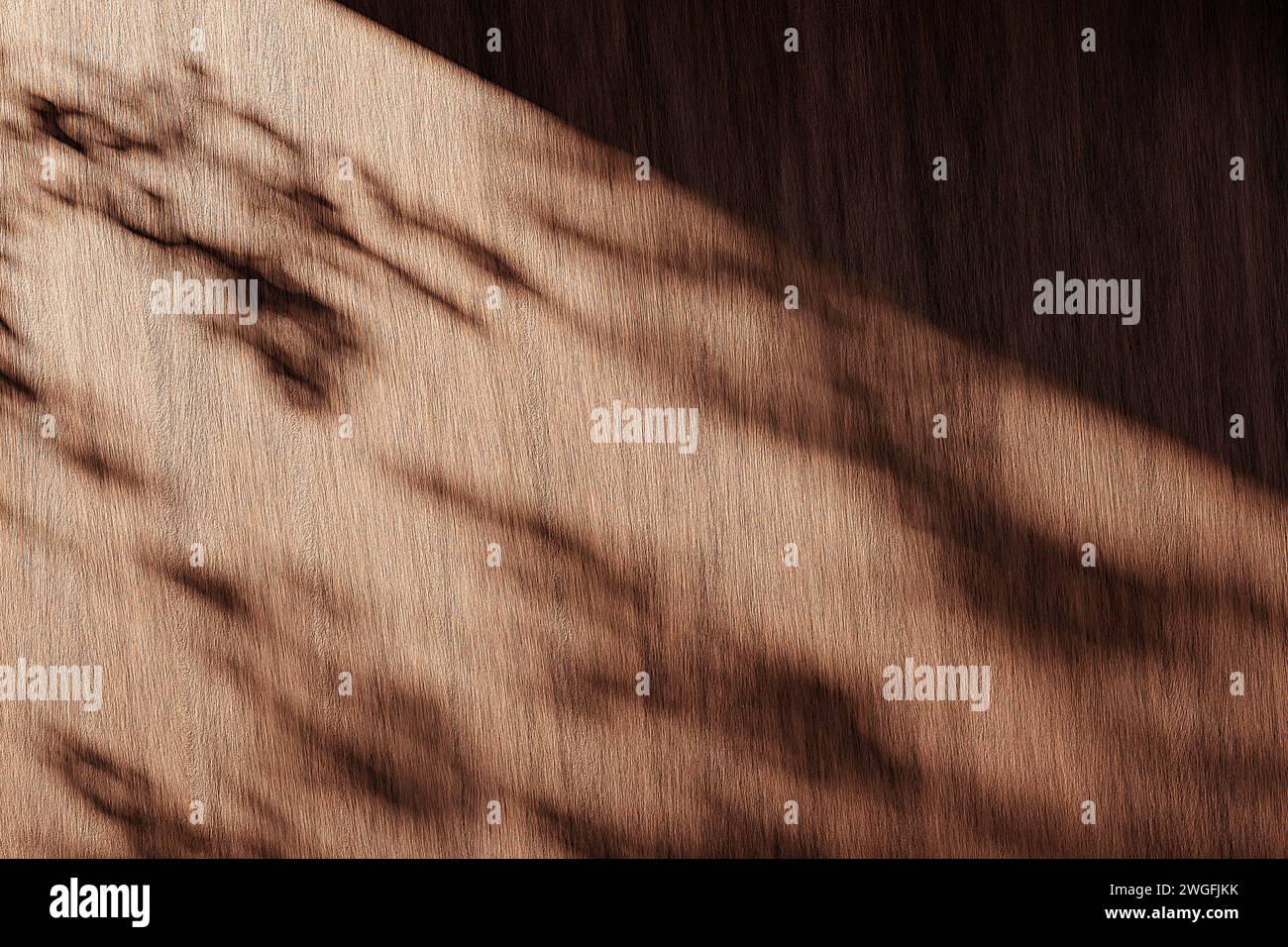 Sunshine, tree shadows, various texture backgrounds. 3d rendering Stock ...