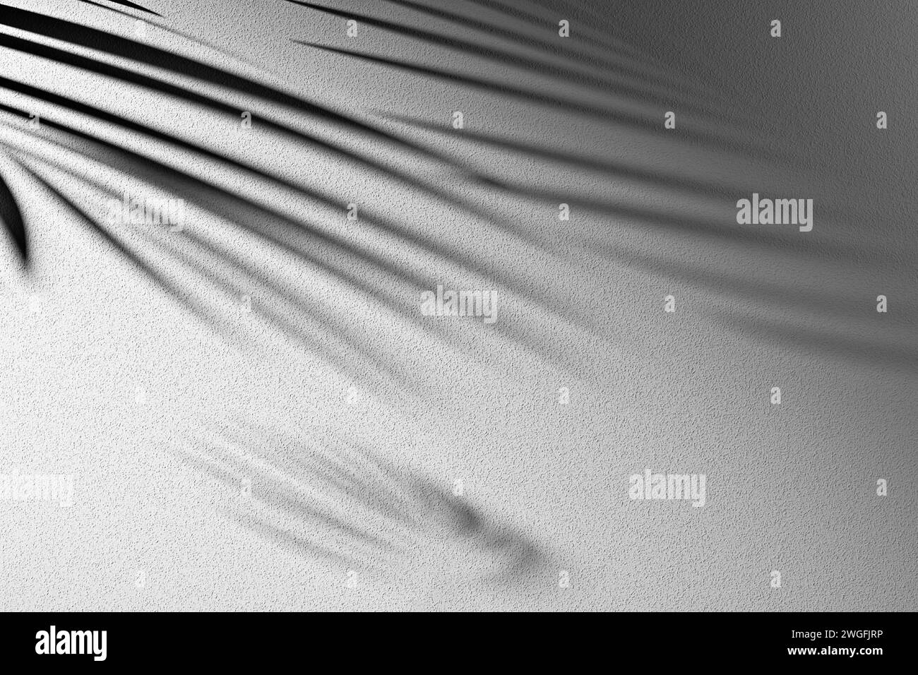 Sunshine, tree shadows, various texture backgrounds. 3d rendering Stock ...