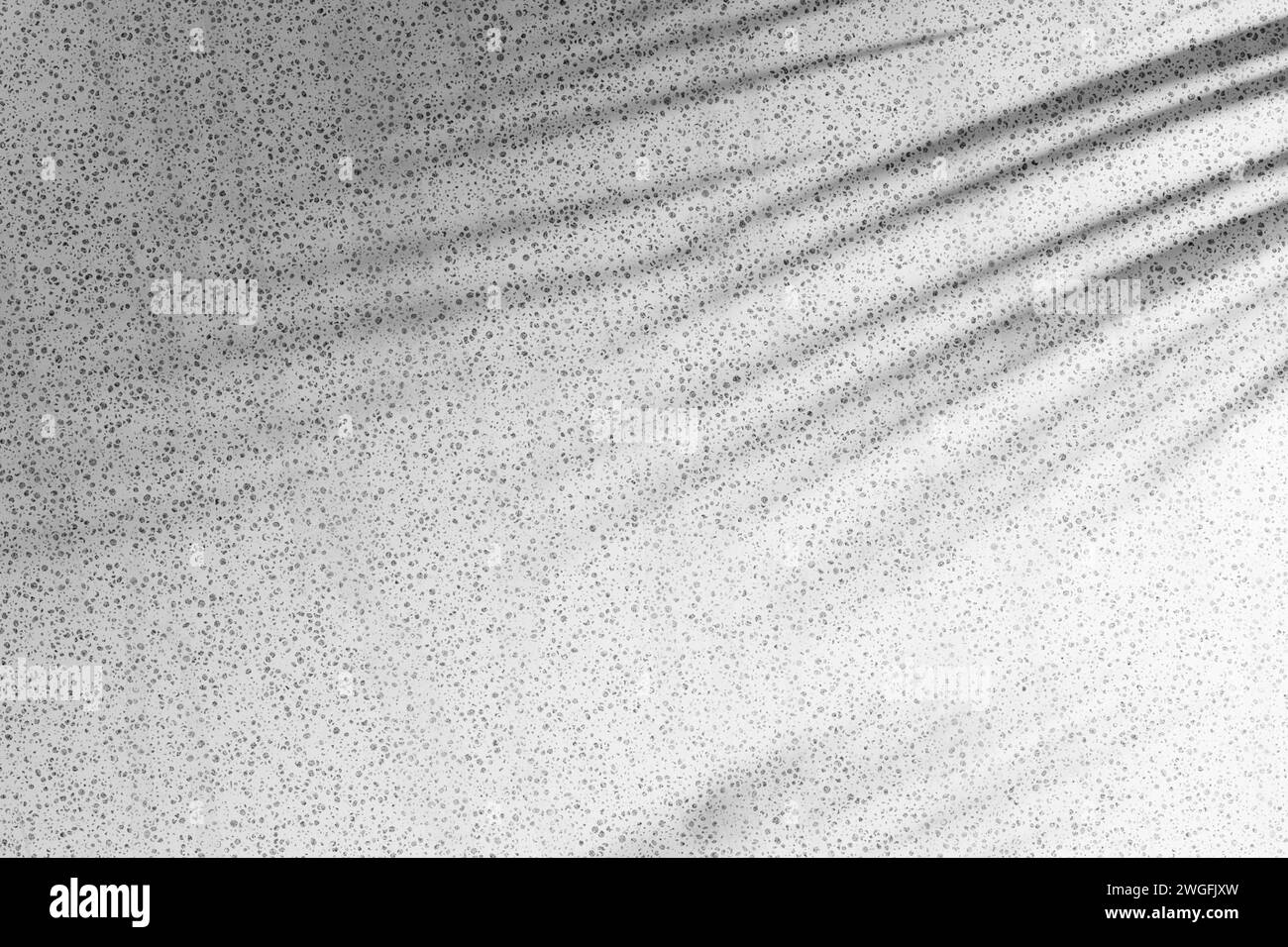 Sunshine, tree shadows, various texture backgrounds. 3d rendering Stock ...