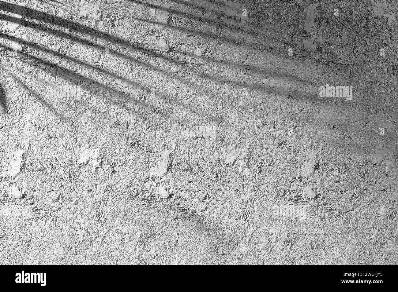 Sunshine, tree shadows, various texture backgrounds. 3d rendering Stock ...