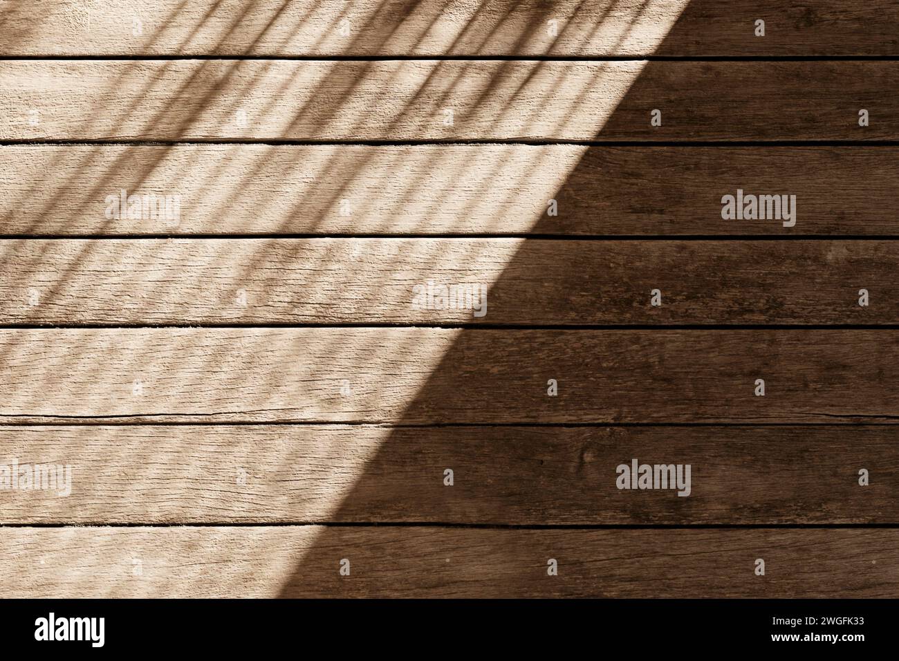 Sunshine, tree shadows, various texture backgrounds. 3d rendering Stock ...