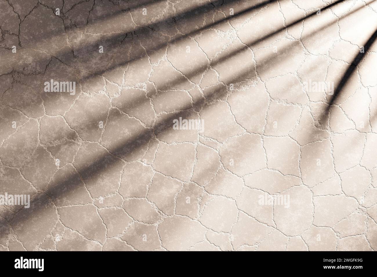 Sunshine, tree shadows, various texture backgrounds. 3d rendering Stock ...