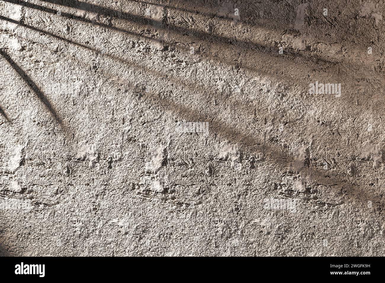 Sunshine, tree shadows, various texture backgrounds. 3d rendering Stock ...